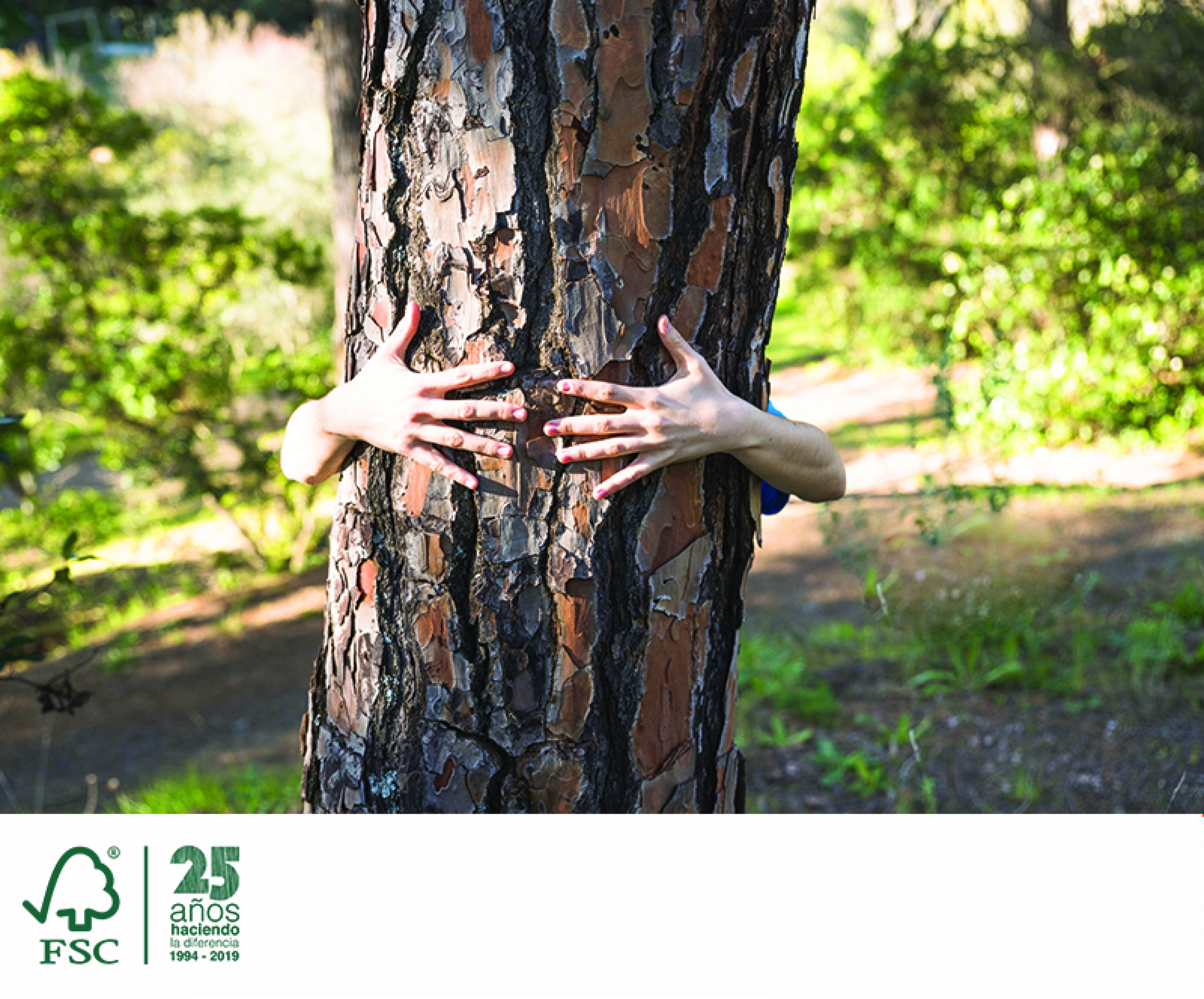 DÍA INTERNACIONAL DE LOS BOSQUES: ¿Cómo FSC ayuda a la conservación de ...